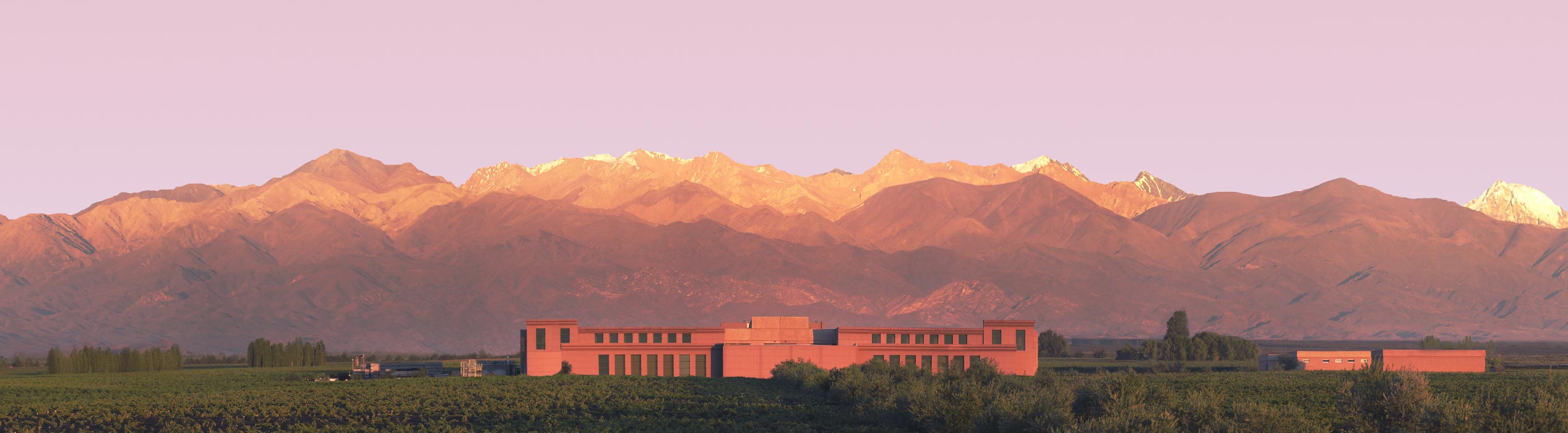 Bodega Rutini Wines B2B